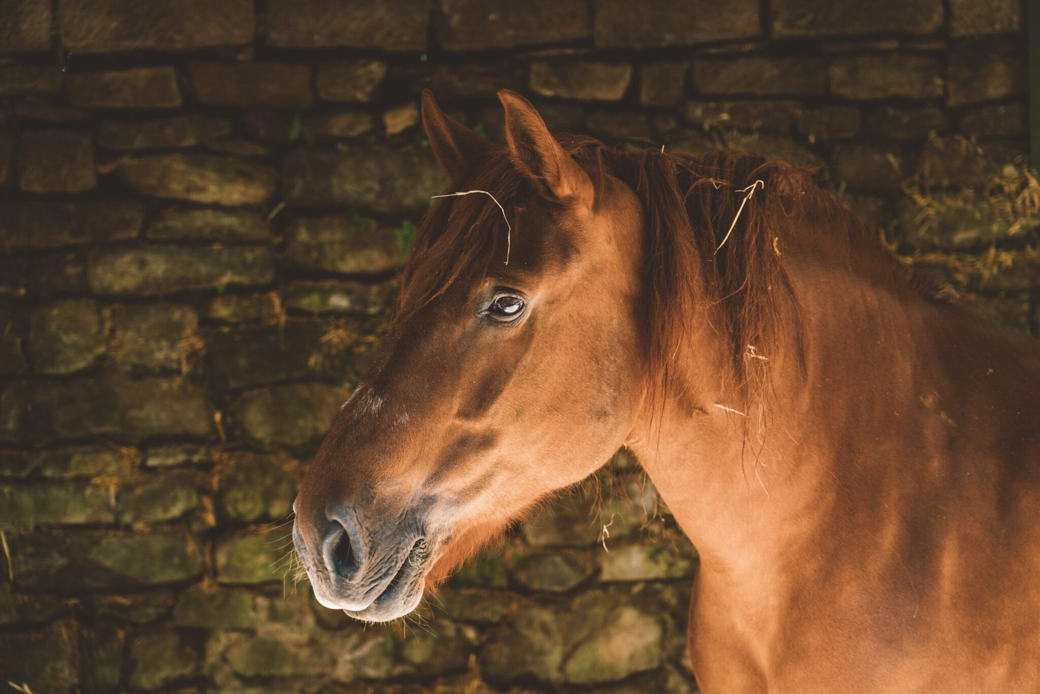 On the Estate | Chatsworth Escapes